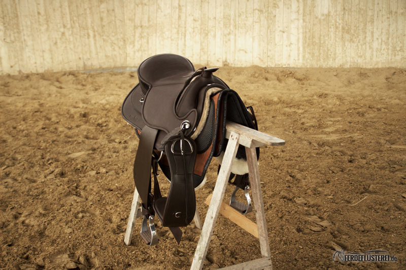 Sattelkunde: Wie du den richtigen Sattel für dein Pferd findest