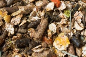 Richtige Pferdefütterung - natürlich und einfach füttern