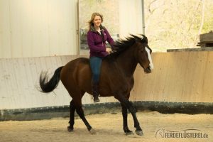 Seitengänge Pferd! Spielend leicht trainieren