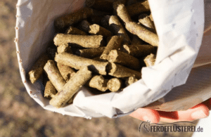 Verdauung beim Pferd