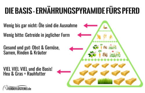 Verdauung beim Pferd