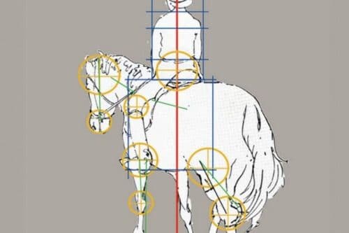 Reiten lernen! Der ultimative Guide für Reitanfänger