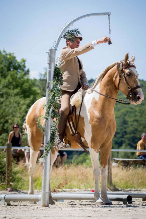Working Equitation - Teambuilding für Reiter und Pferd