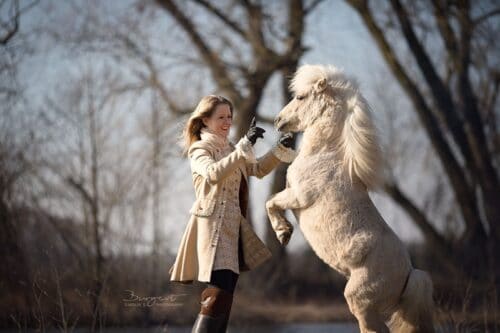 Seitengänge Pferd! Spielend leicht trainieren