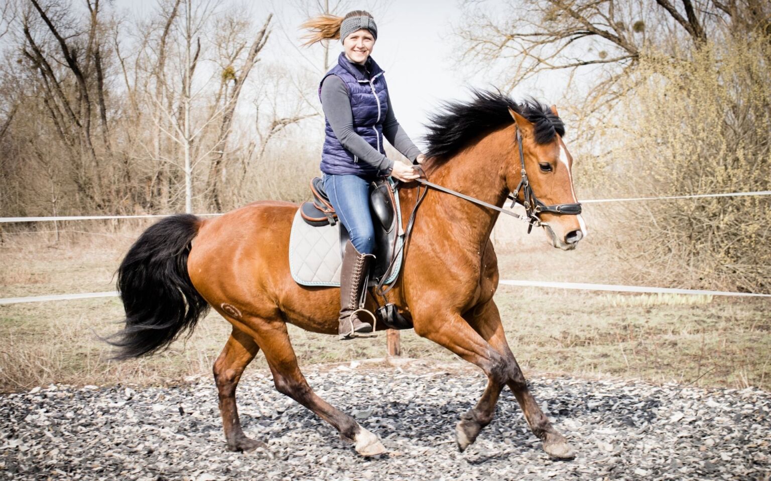 Reitersitz Tipps: So einfach geht richtig Sitzen