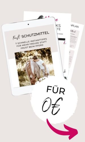 Fohlen ABC - Das sollte ein Fohlen können